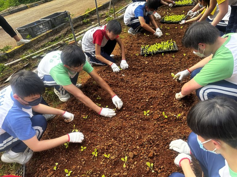Photo 10_Students planting seedlings - Alumni Association