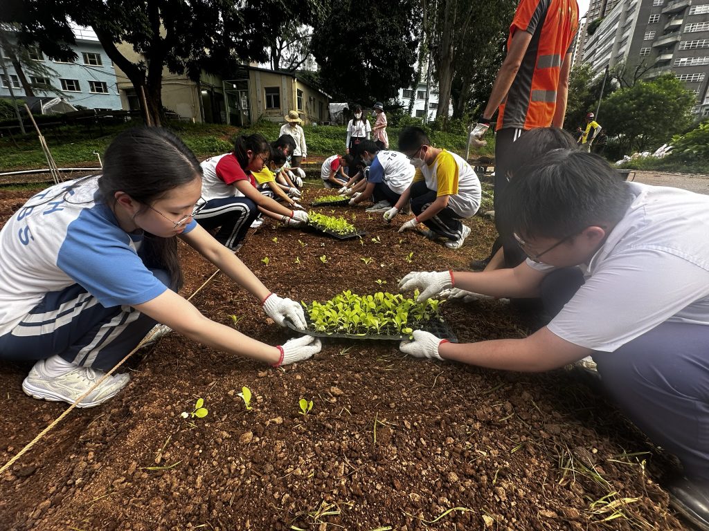 Photo 9_Students enjoying the hands-on farming experience - Alumni ...